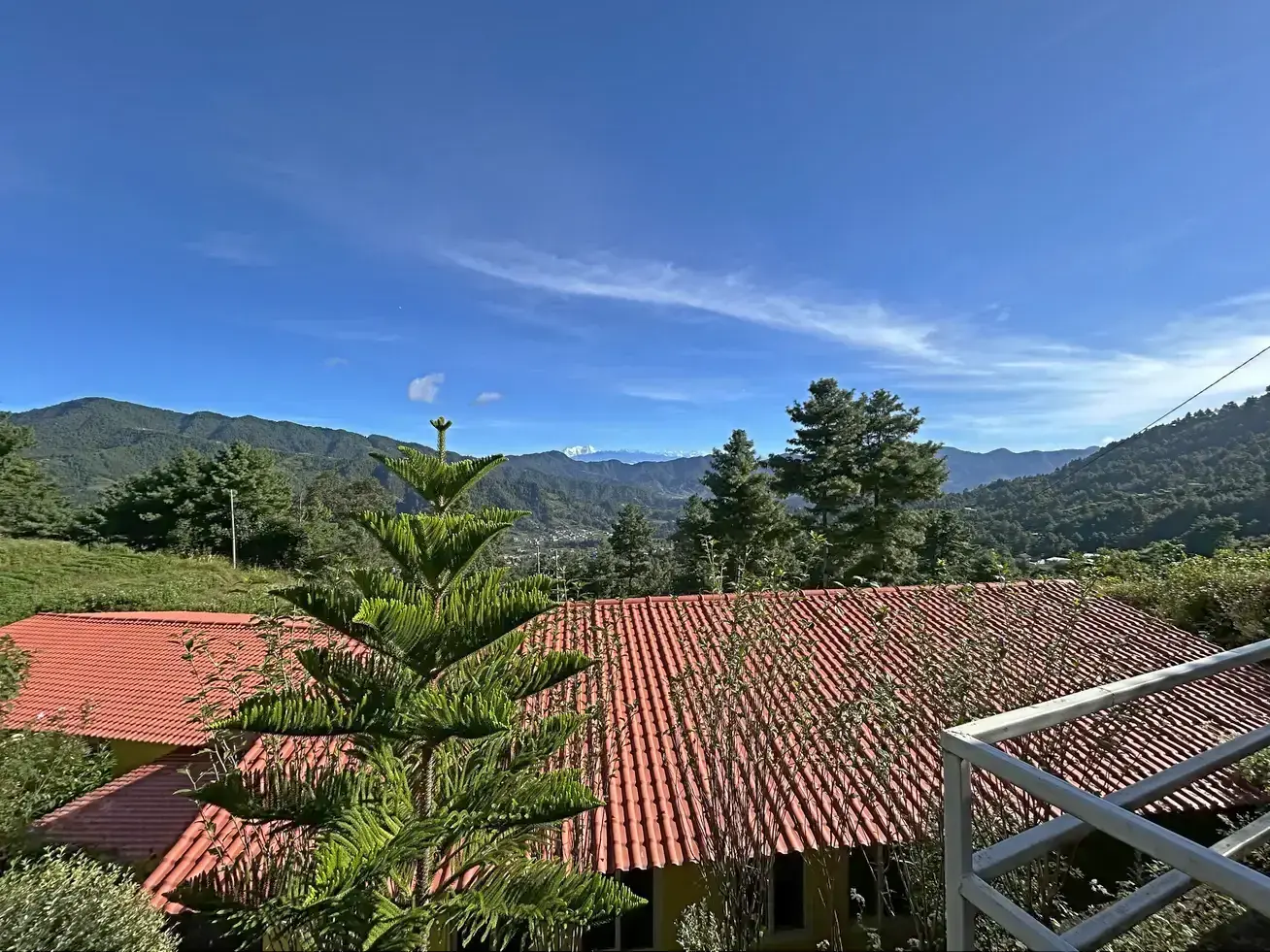 Pinus Hotel | Luxury Stay in Daman